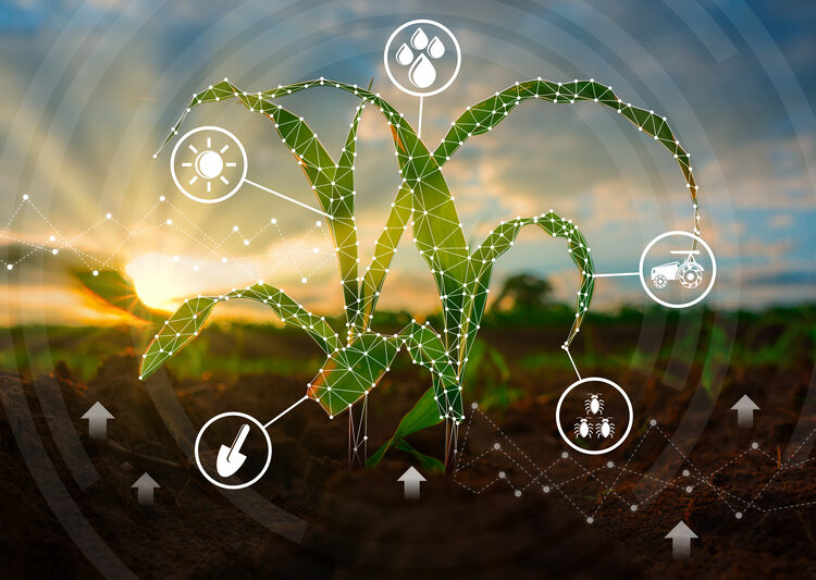 Fondos Next Generation – Todo sobre los fondos NextGenerationEU en ...